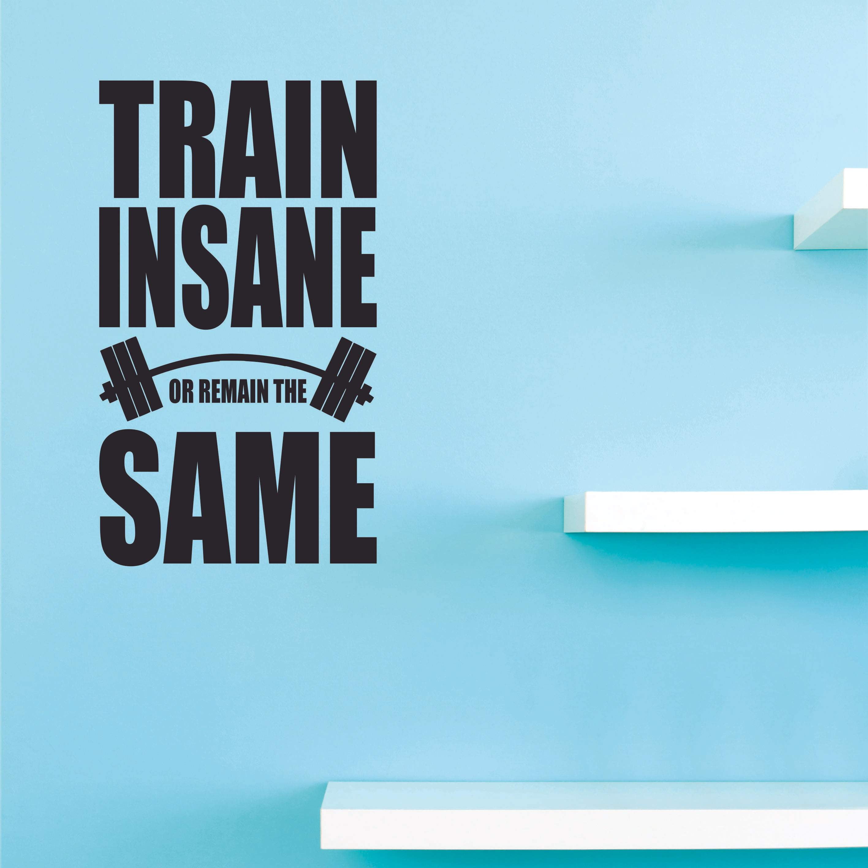 Cool Art Wall Lettering Quotes Decal - 10" x 20" Train Insane Or ...