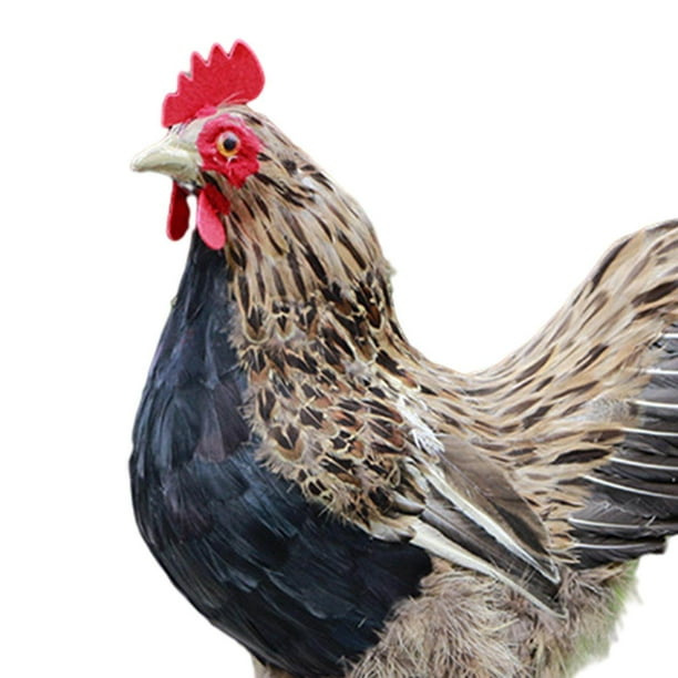 fastboy Lifelike Hen Model Realistic Chicken Statue Realistic Animal ...