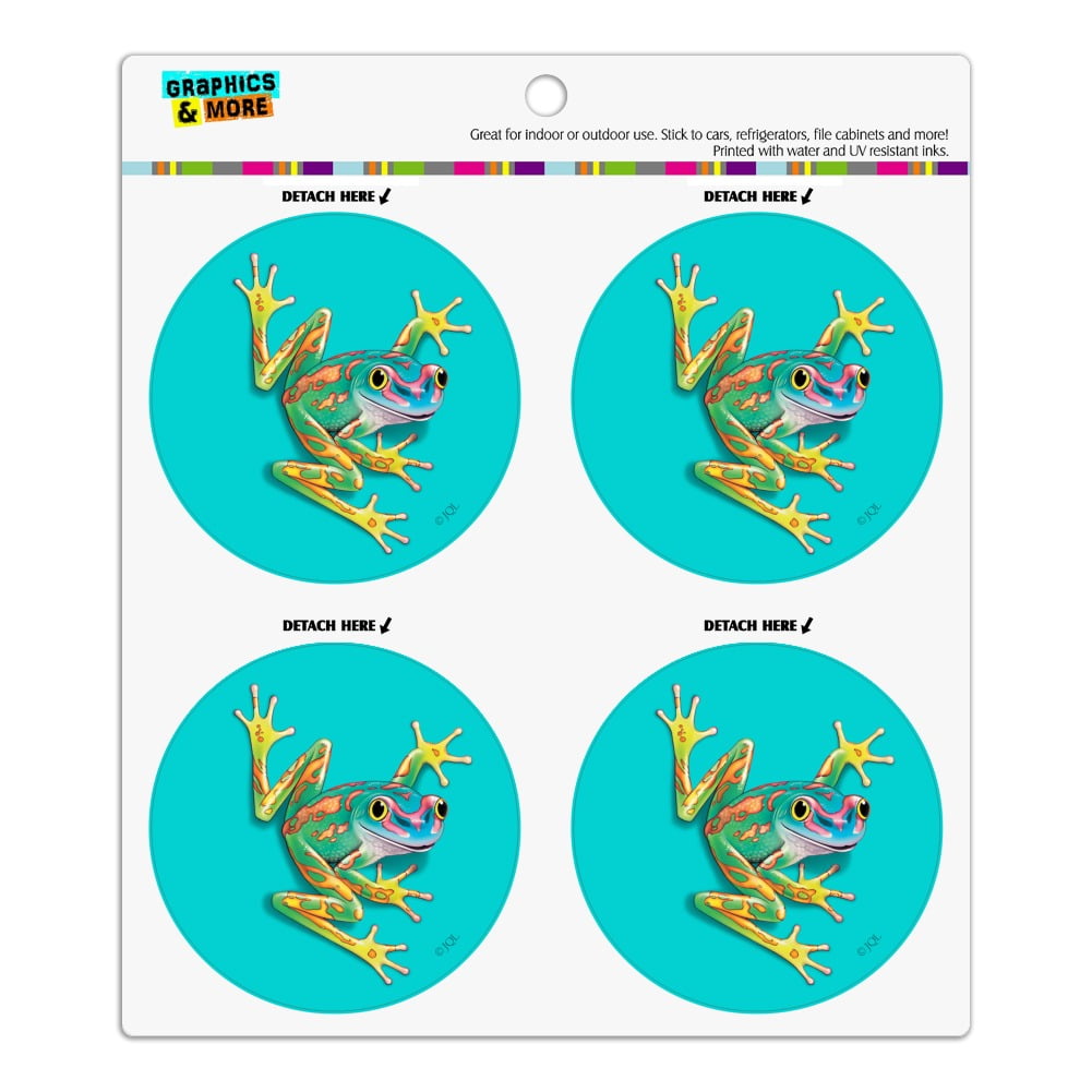 Big Tropical Rainbow Rainforest Tree Frog Refrigerator Fridge Locker ...