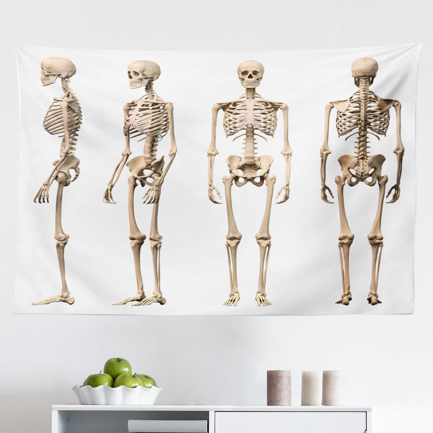 Human Anatomy Tapestry, Male and Female Bodies with Inner Mass Build ...