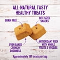 Wellness WellBars Crunchy Dog Treats with Yogurt, Banana, Apple, 50 ...