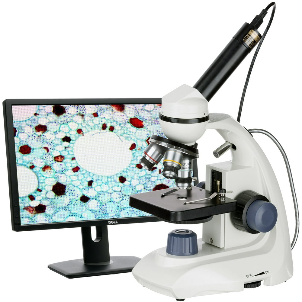 amscope 40x-1000x dual led portable compound microscope with camera ...