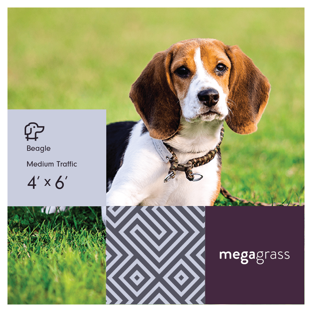 MegaGrass Beagle 4 x 6 ft Artificial Grass for Medium Pet Dog Potty ...