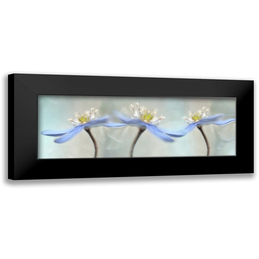 Westum, Heidi 24x11 Black Modern Framed Museum Art Print Titled - Dancing anemones - Walmart.com