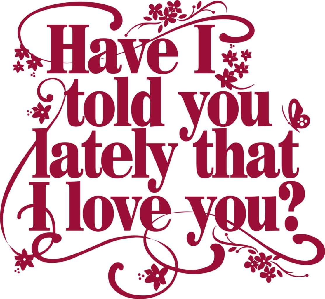 Do It Yourself Wall Decal Sticker Have I Told You Lately That I Love ...