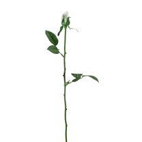 22.5" Artificial Long Single Stem Cream Colored Budding Rose - Walmart.com