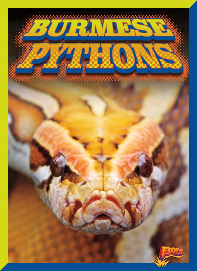 Invasive Species Takeover: Burmese Pythons (Hardcover) - Walmart.com ...