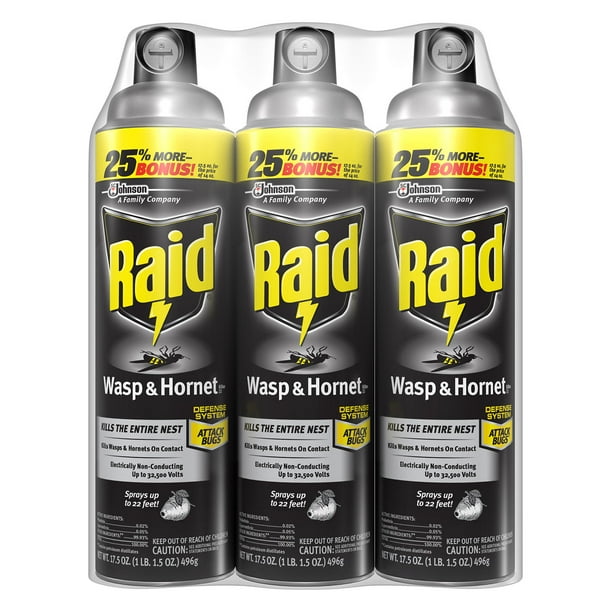 Raid Wasp & Hornet Killer 3ct, 17.5 oz - Walmart.com