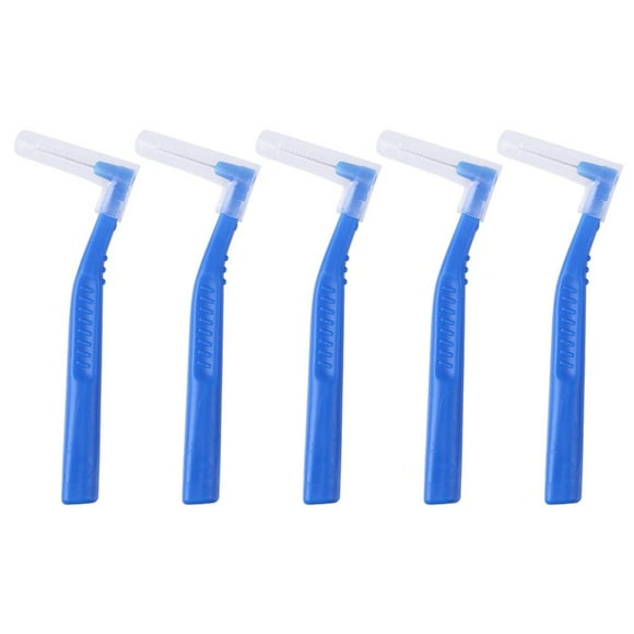Dental Proxy Brushes