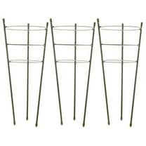 Garden Zone (#631630) Grotall Plant Grothru Support, Green, 16 ...