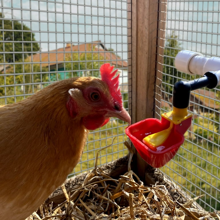 4 Drinking Cups Waterer 2-Gallon Automatic Chicken Waterer With Float ...