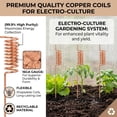 Copper Rods for Garden, 6 Pack Electroculture Copper Gardening Coils ...