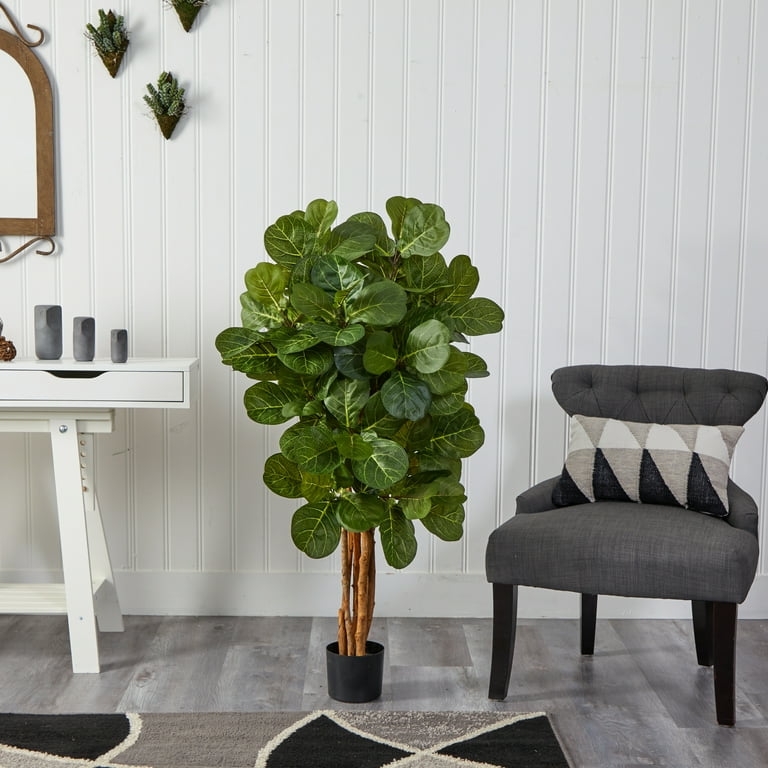 Fiddle Leaf Fig Silk Tree
