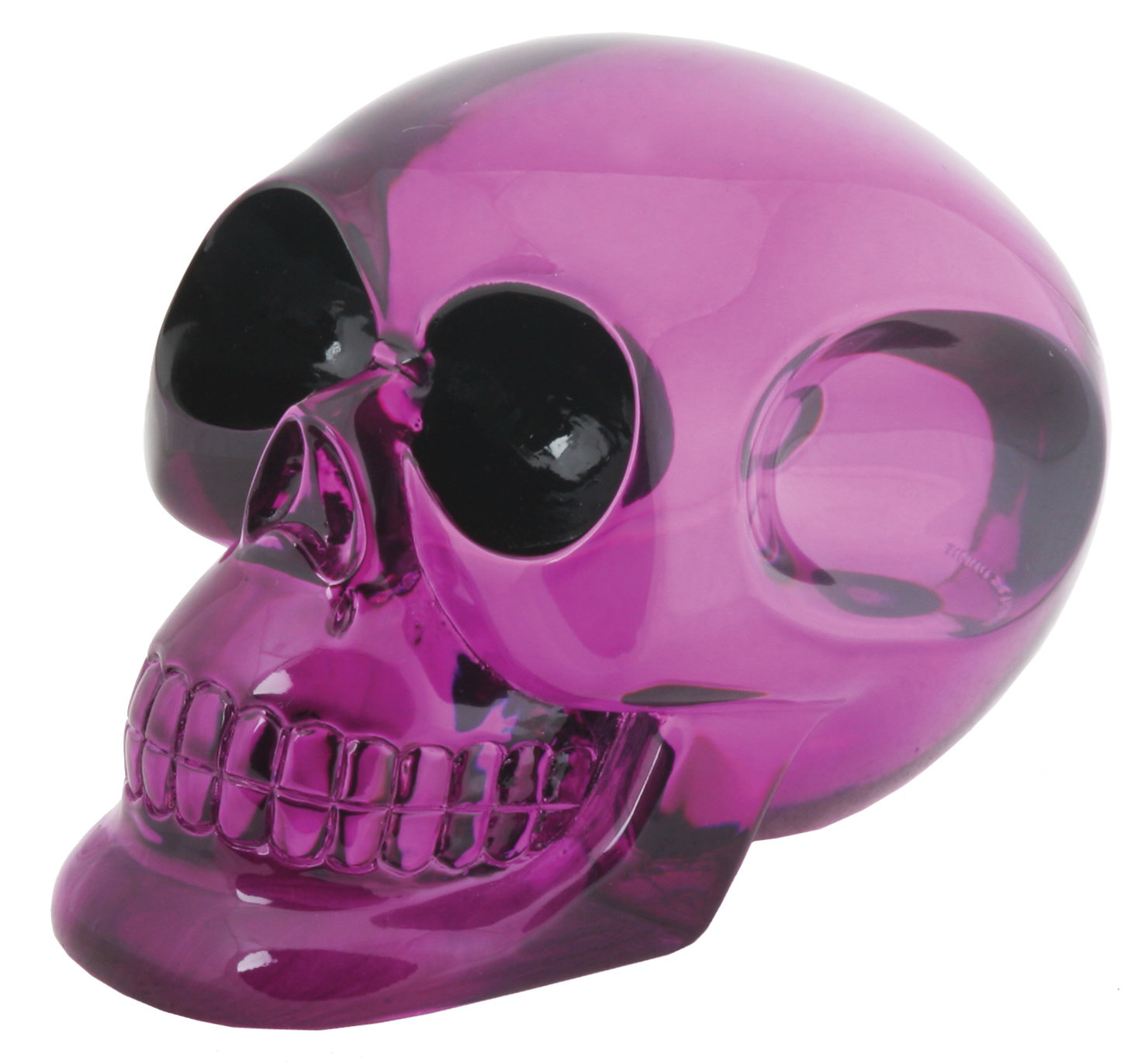 Resin Skull - Collectible Figurine Statue Sculpture Figure Skeleton ...