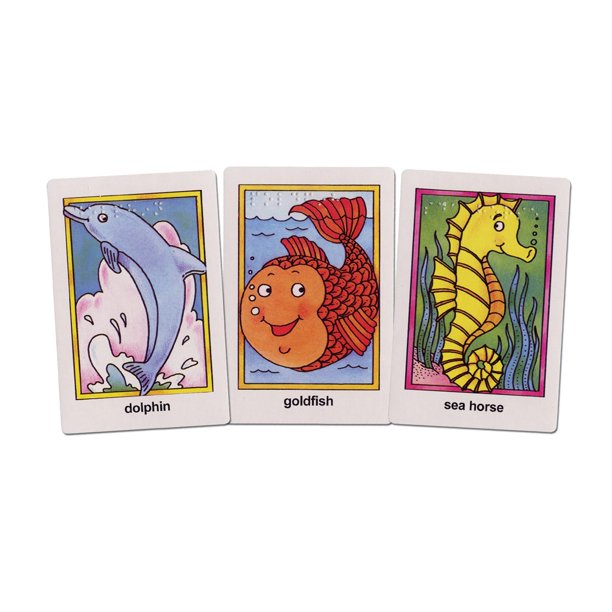 Go Fish Flash Cards - Braille - Walmart.com - Walmart.com