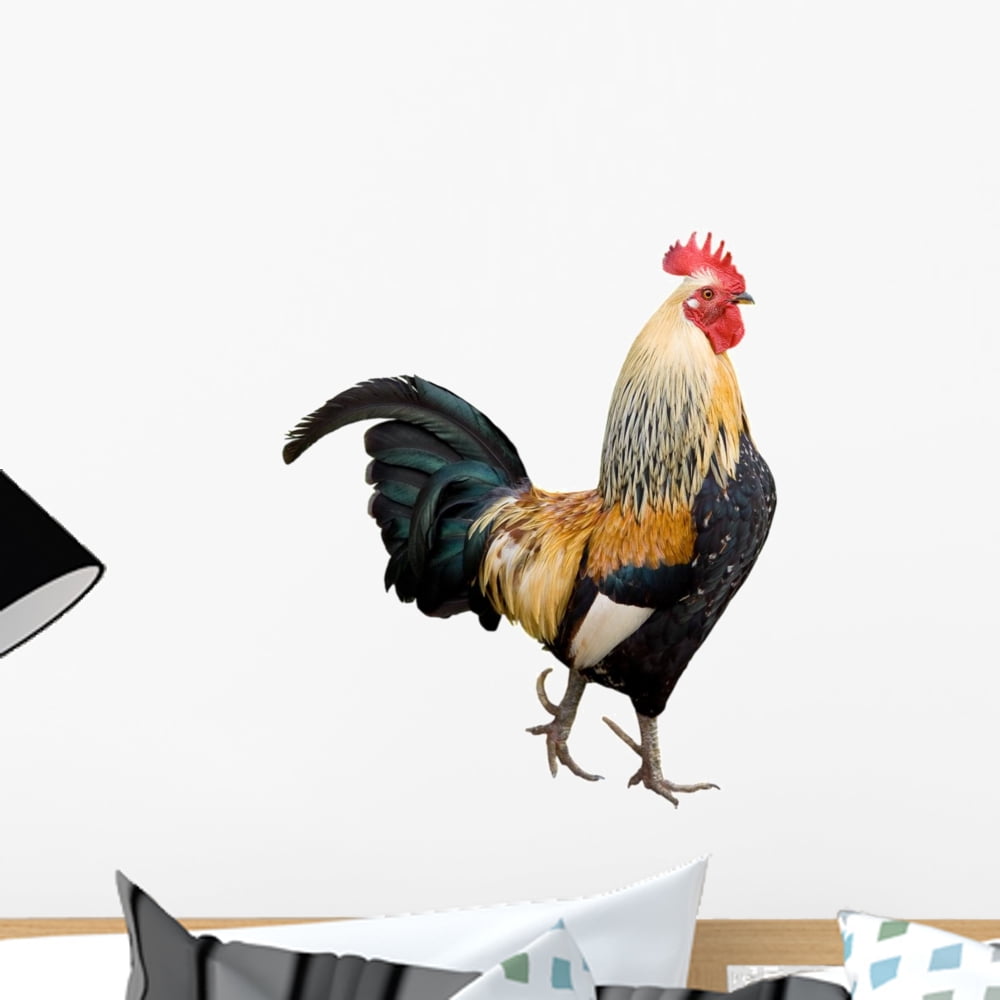 Rooster White Wall Decal by Wallmonkeys Peel and Stick Graphic (18 in H ...