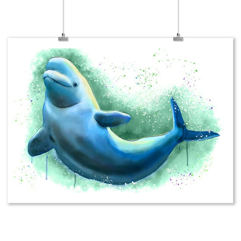 Beluga Whale Art