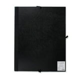 Cachet/Daler-Rowney, Classic Artists' Portfolio, 17in x 22in with Flaps ...