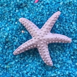 Farfi Simulation Starfish Lifelike Realistic Plastic Cute Artificial ...