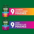 GoGo squeeZ Active Fruit Blend w/ Electrolytes, Strawberry Flavor ...