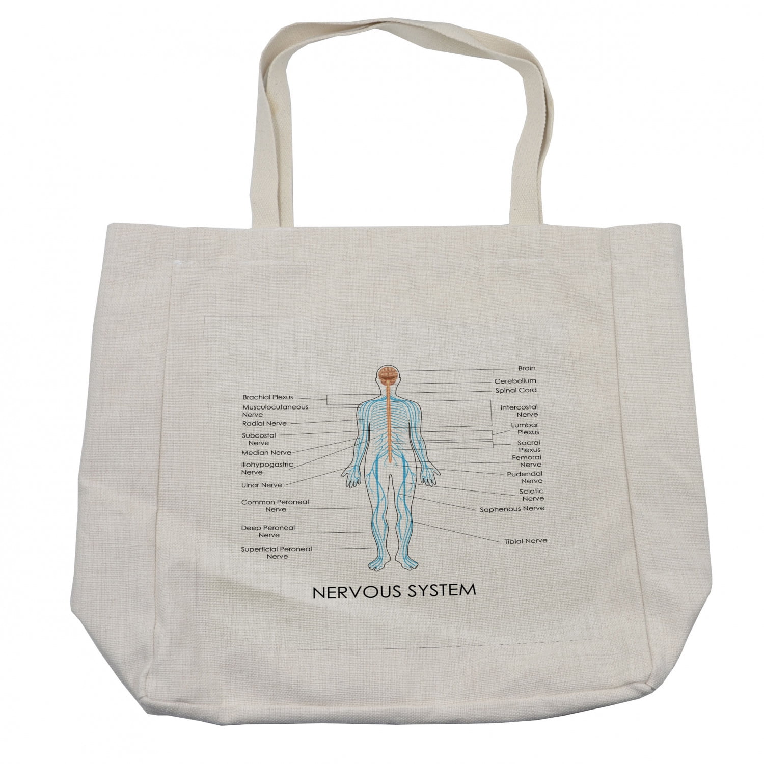 Anatomy Shopping Bag, Science Nerve Spinal Human Nervous System Graphic ...
