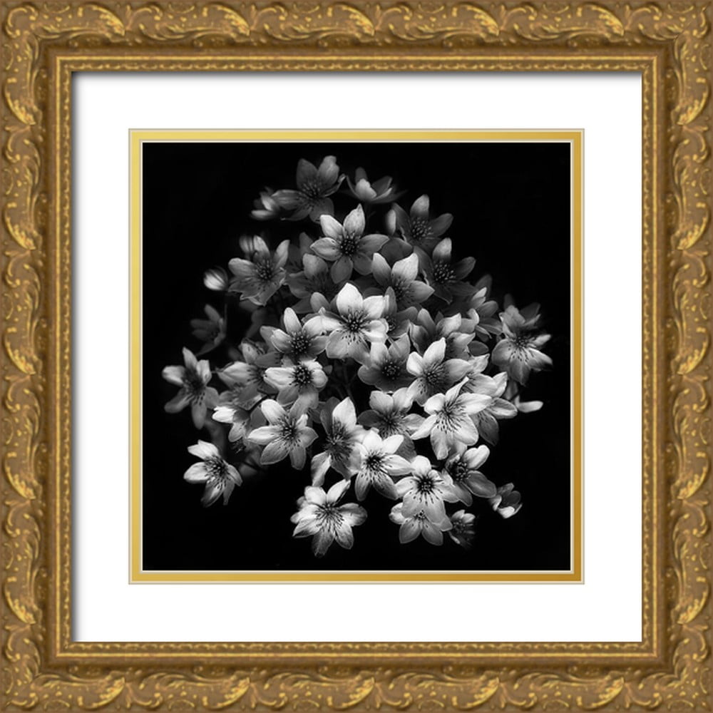 Depaepe, Yvette 26x26 Gold Ornate Wood Framed with Double Matting ...
