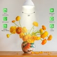 BUBO GU10 LED Bulbs 6W=50W, 3000K Warm White, Energy Saving MR16 ...