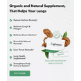 Lignosus Organic Tiger Milk Mushroom, Respiratory Support Supplement ...