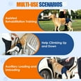 AUTOWT Dog Lift Harness - Hind Leg Support for Medium and Large Dogs ...