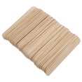 HOMEMAXS 200 Pcs Food Ice Cream Popsicle Stick Kids' DIY Supplies 11 ...