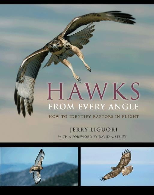 Hawks from Every Angle : How to Identify Raptors in Flight (Paperback ...