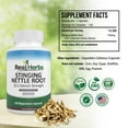 Real Herbs Stinging Nettle Root Extract 7500mg (750mg of 10:1 Extract ...