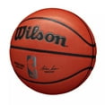 Wilson NBA Signature Series Authentic Official Size Indoor/Outdoor ...