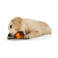 West Paw Zogoflex Tux Small 4" Dog Toy Tangerine - Walmart.com