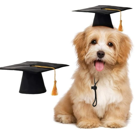 Pet Graduation Caps Dog Costume Hat Dogs Cats Decorations Party Decor ...