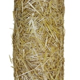 American Excelsior Premier Straw Erosion Control Lawn Cover, Ground ...