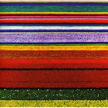 Free At Last - Walmart.com