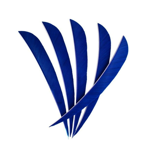 xinxixnxx 12 Pieces Archery Hunting Arrow Feather Fletching Right Wing ...