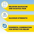 Backaid Maximum Strength Back & Sciatica Pain Reliever, 6-Hour Formula ...