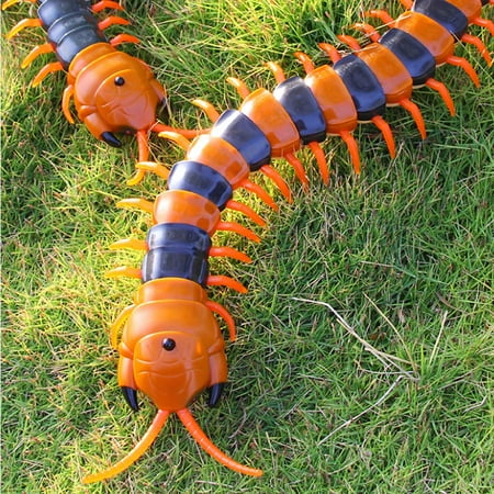 Loewten Infrared Simulation Centipede Remote Control Animal Scolopendra ...