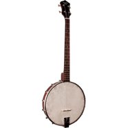 Saga OK-2 Openback Banjo Kit - Walmart.com