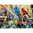 MasterPieces, Jigsaw Puzzle, 1000 Piece, Backyard Birds 19.25"x26.75 ...
