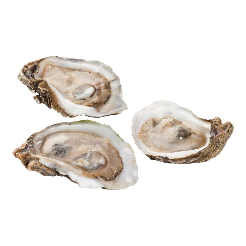 Hillman USA Half Shell Oyster, 30 Pound - 1 each. - Walmart.com