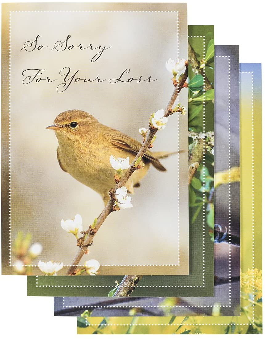DaySpring - Sympathy - Comforting Thoughts - 12 Boxed Cards, KJV (60934 ...