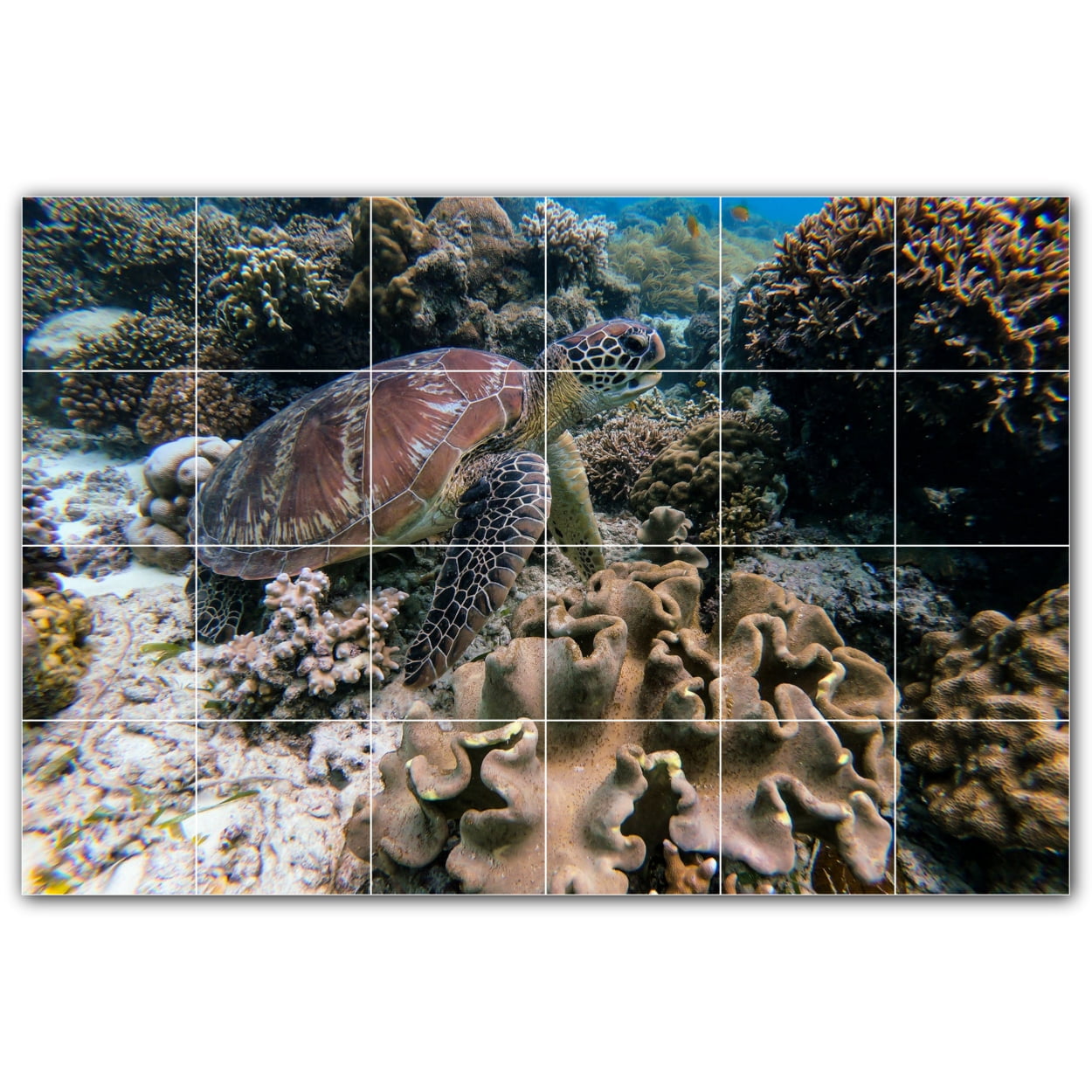 Picture-Tiles.com: Turtle Ceramic Tile Wall Mural WAL501068-64M. 36"W x ...