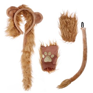 Homemade Lion Costume For Men