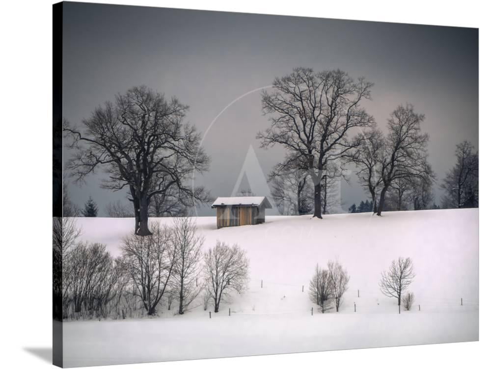 Winter Scene, Hill and Trees, Hut and Foreboding Sky, Scenic Seasons ...