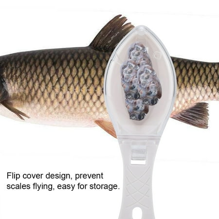 Fish Skin Scraper,Fast Remove Fish Skin Fish Skin Remove Fish Scraper ...