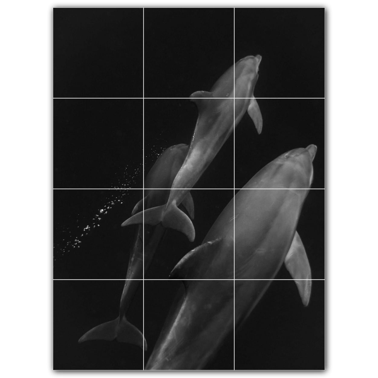 Picture-Tiles.com: Dolphin Ceramic Tile Wall Mural WAL500522-34S. 12.75 ...