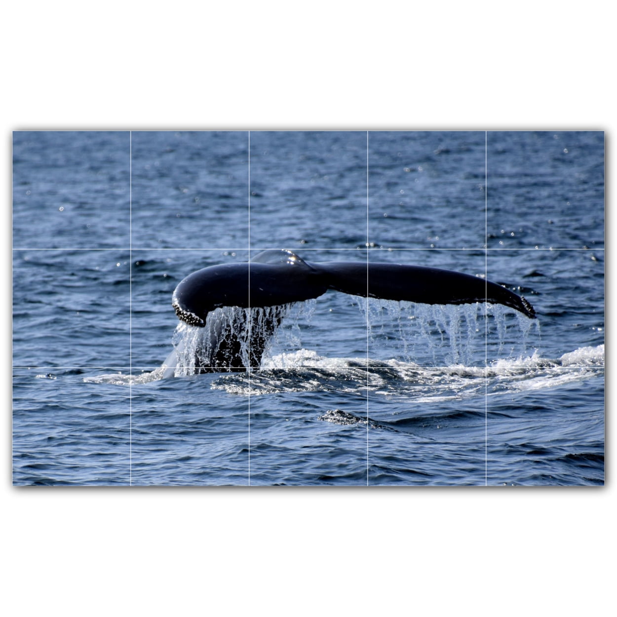 Picture-Tiles.com: Whale Ceramic Tile Wall Mural WAL501195-53M. 30"W x ...